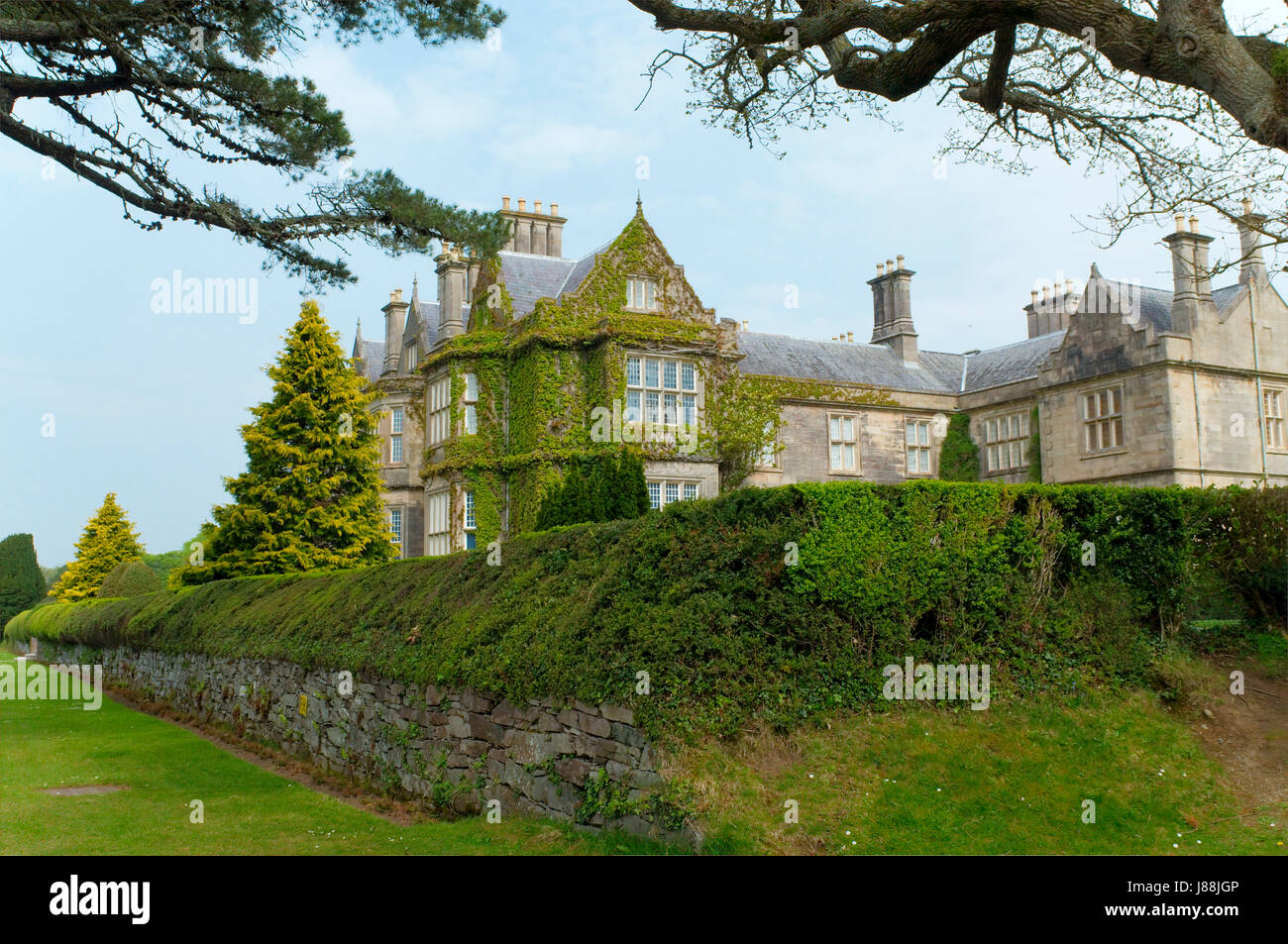 house, building, tree, trees, garden, europe, tourist, style of ...