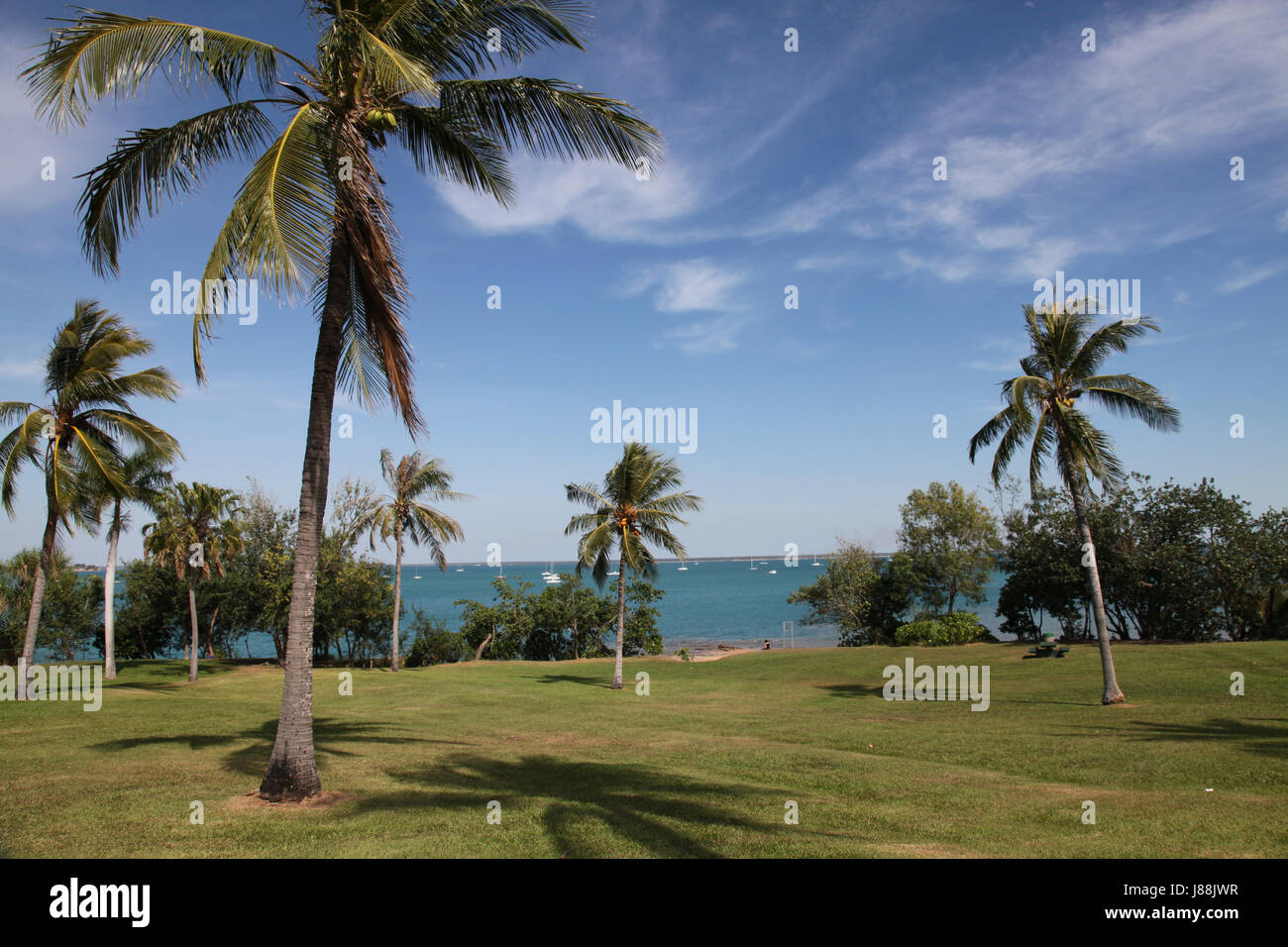 look, glancing, see, view, looking, peeking, looking at, east, point ...