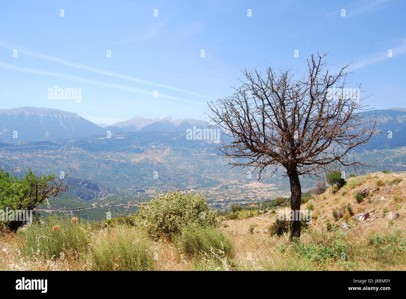 in parnassus mountains Stock Photo - Alamy