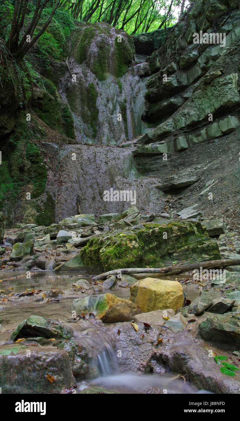 leaf, tree, stone, stream, waterfall, peace, harmony, calm, beech ...