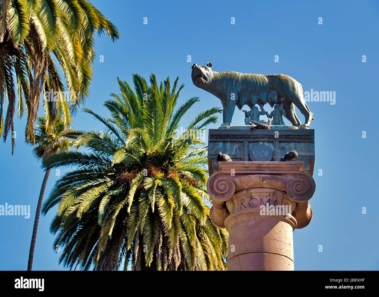 sculpture, Rome, roma, chile, wolf, italian, column, palm, myth ...