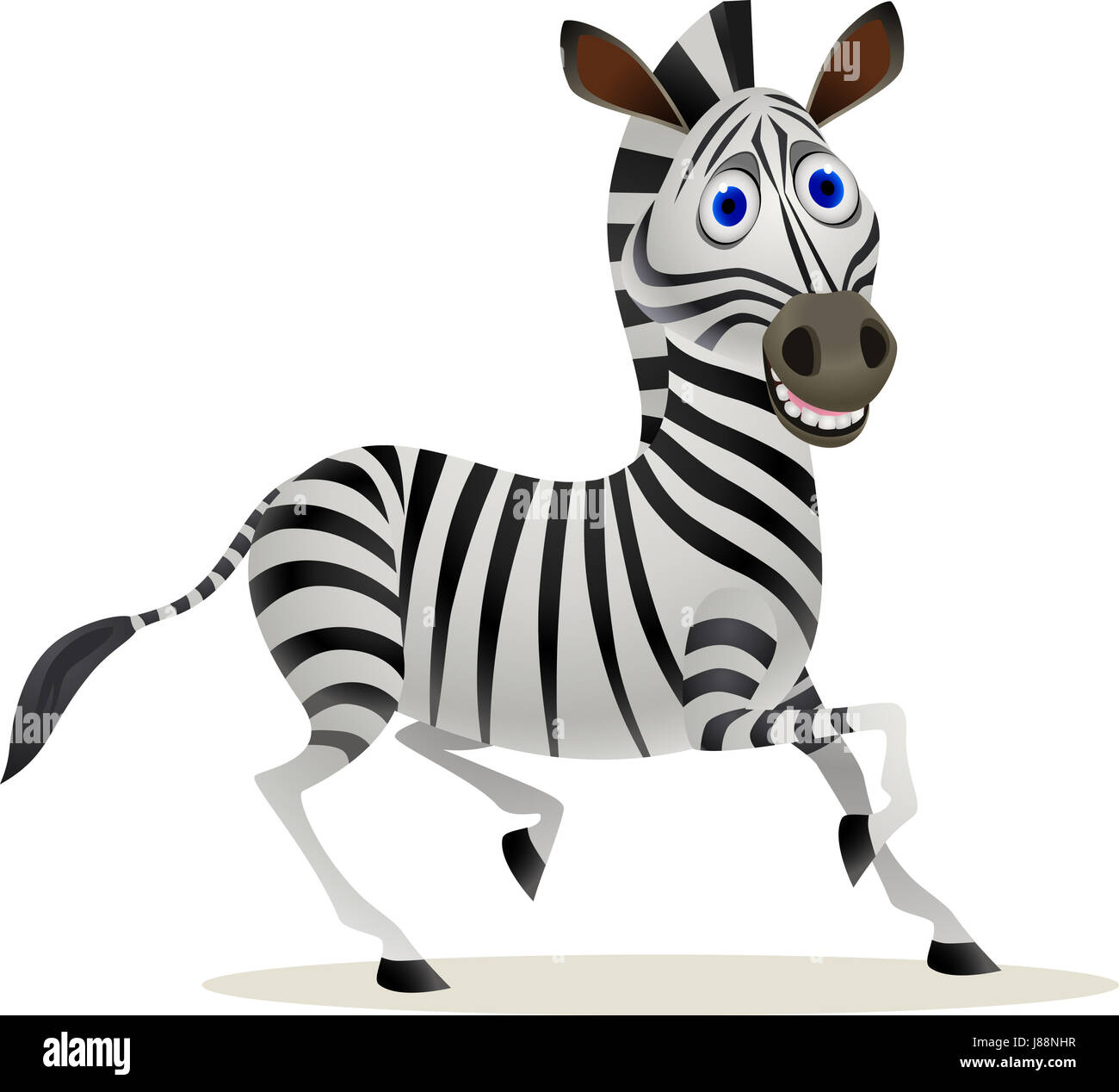 Funny Zebra Cartoon