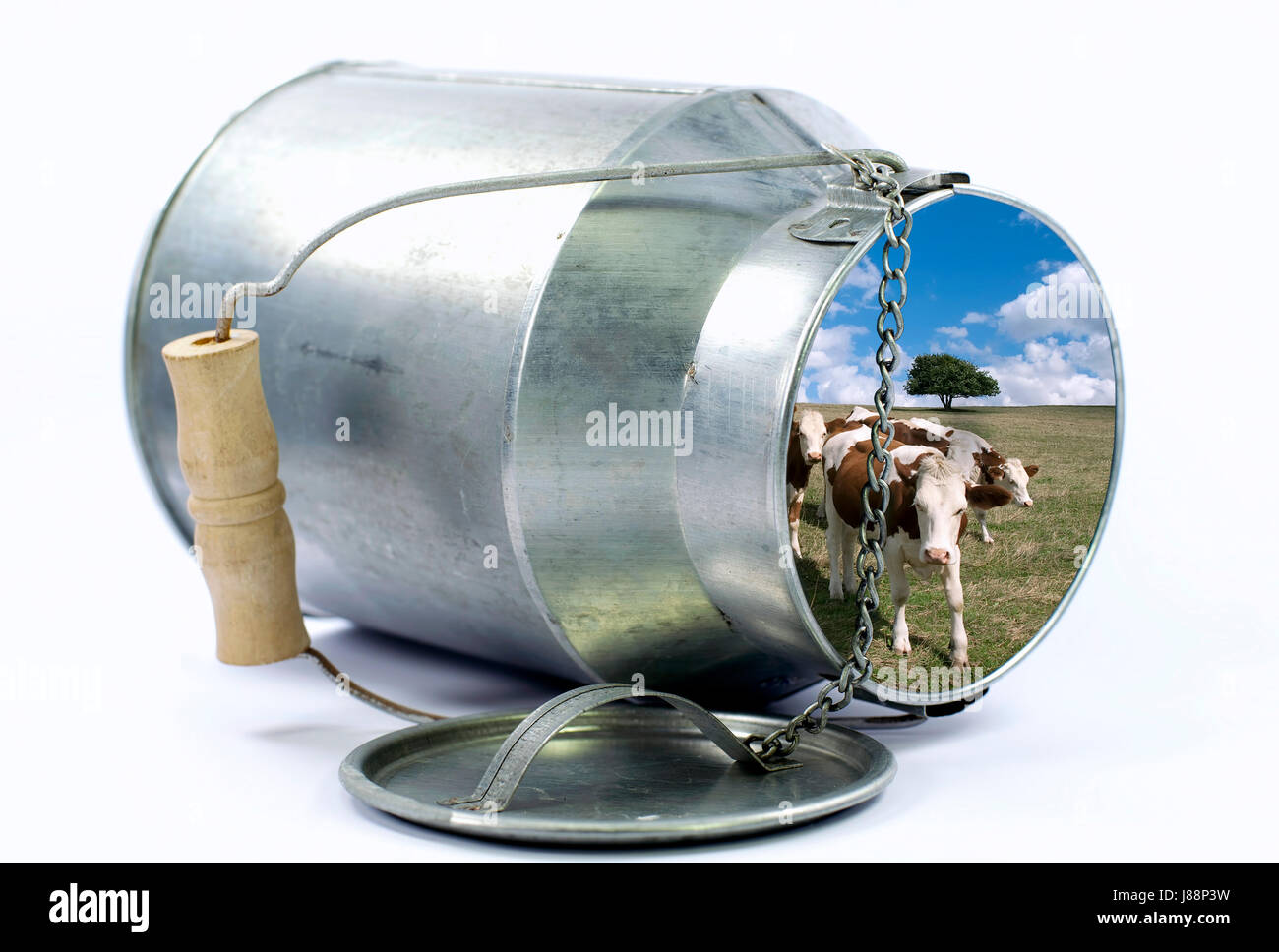 cow, decoration, farm, container, farmland, can, containers, object ...