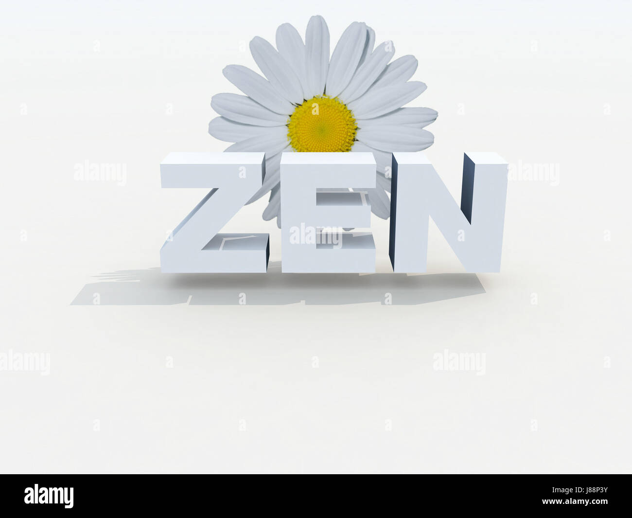 flower, plant, peaceful, daisy, zen, white, purity, model, design ...