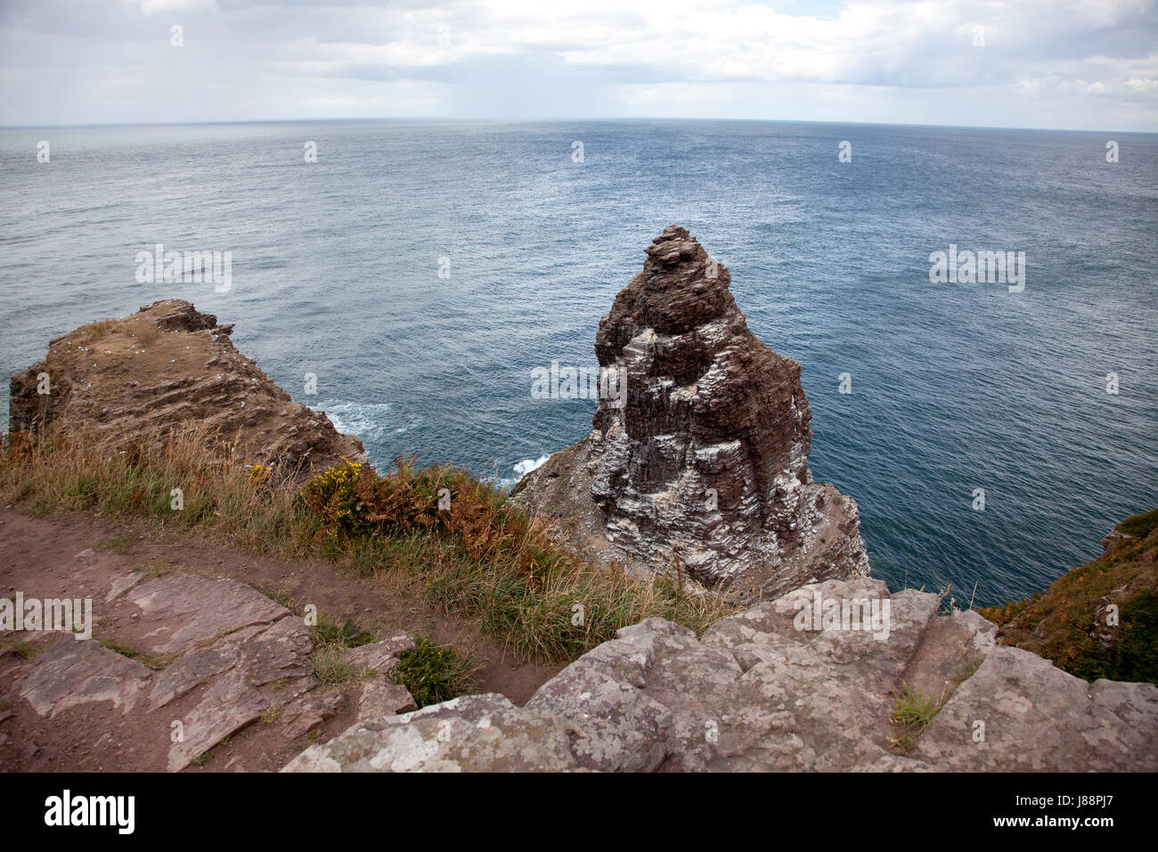 beach, seaside, the beach, seashore, france, bay, brittany, cliff ...