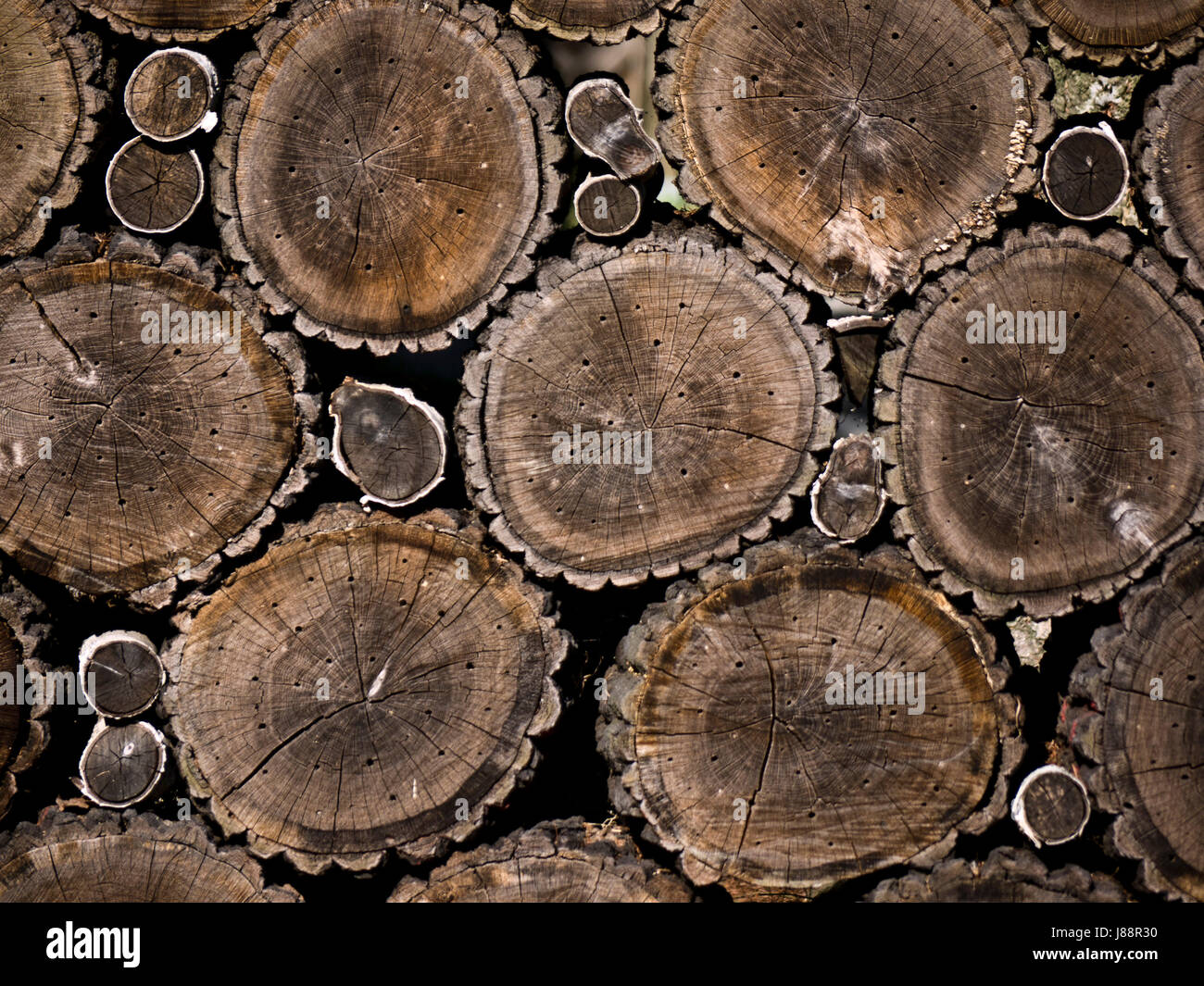 structure, backdrop, background, wood, trunk, stack, area, design ...