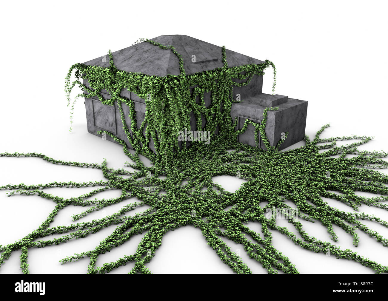 house, building, ivy, nature, house, building, leaf, branch, ivy ...