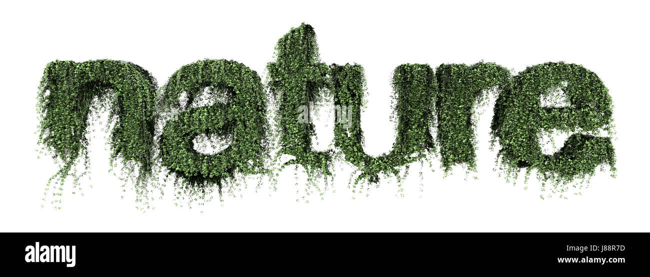 isolated, text, ivy, nature, leaf, isolated, model, design, project ...