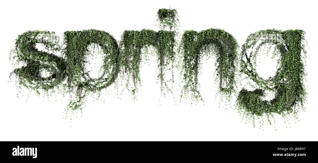 isolated, spring, bouncing, bounces, hop, skipping, frisks, jumping ...