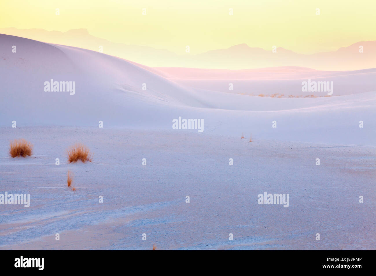 desert, wasteland, sunset, dunes, dry, dried up, barren, landscape ...