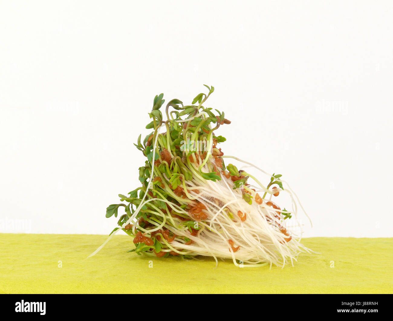 germination, stalk, sowings, rich in vitamins, seed, cress, germ buds ...