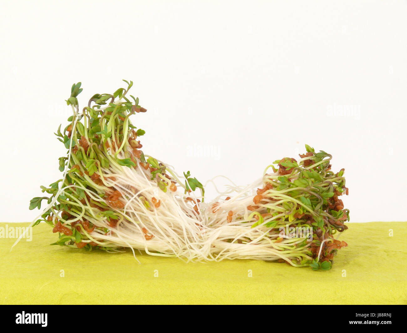 Kressekeimlinge hi-res stock photography and images - Alamy
