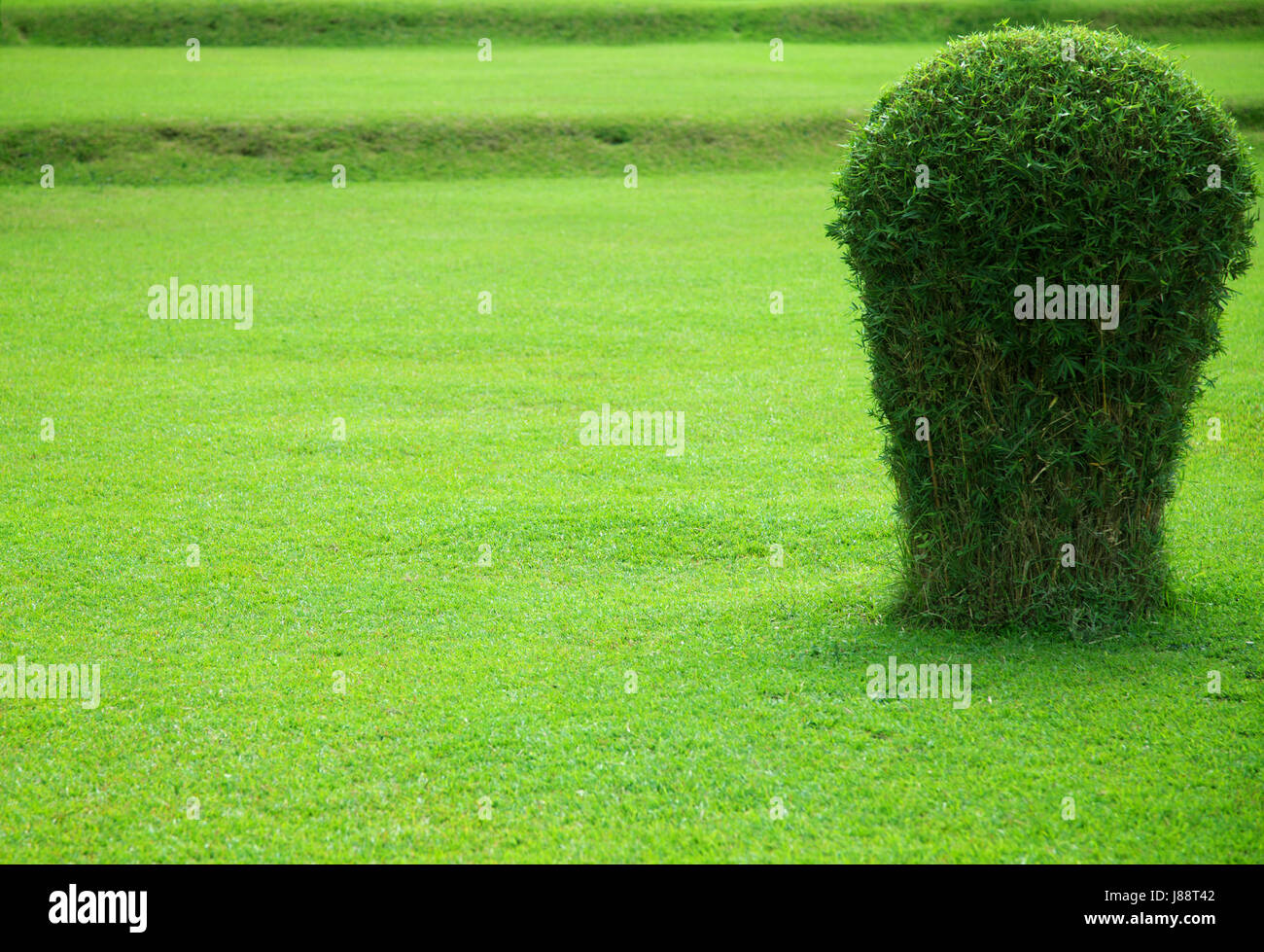 model, design, project, concept, plan, draft, park, garden, cut ...