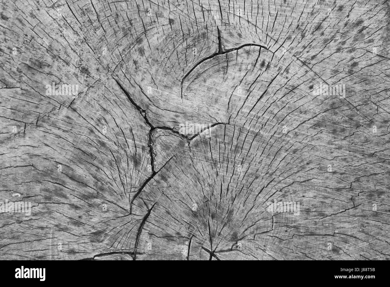 beautiful structures in wood Stock Photo - Alamy