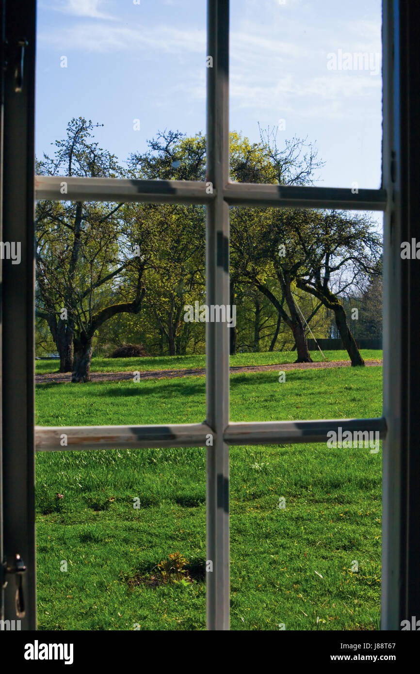 tree, trees, garden, window, porthole, dormer window, pane, flora, farm ...