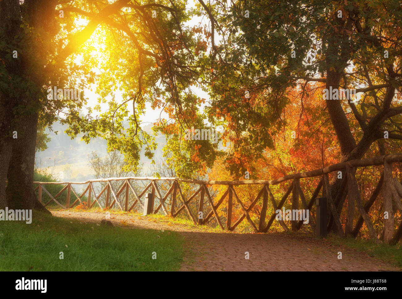 Beautiful sunny park Stock Photo - Alamy