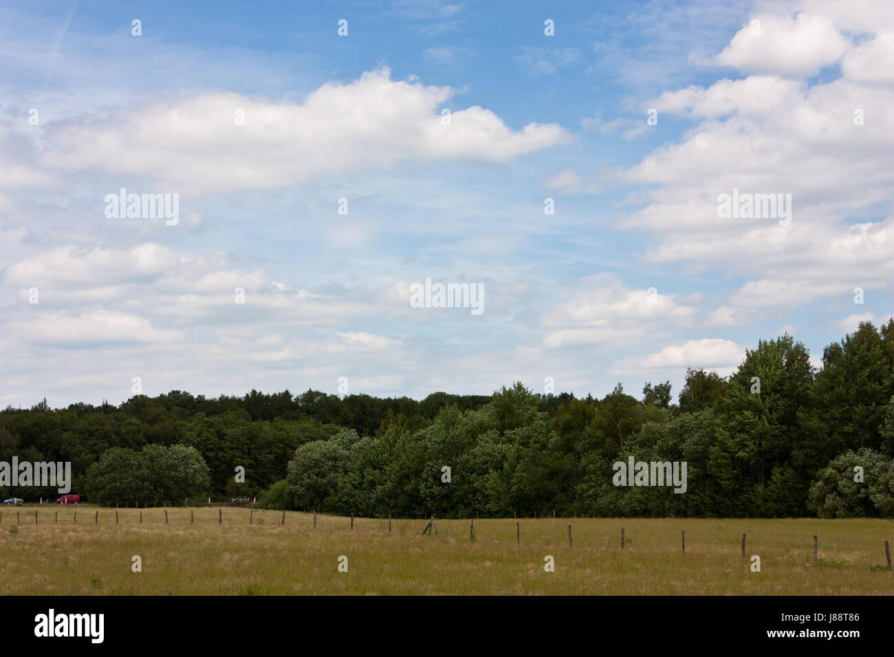 feld am wald Stock Photo - Alamy