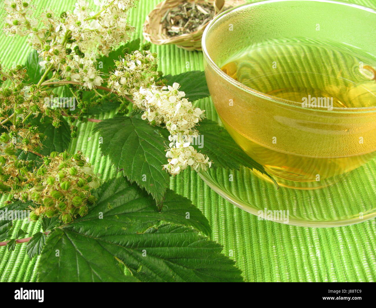 tea with meadowsweet Stock Photo - Alamy