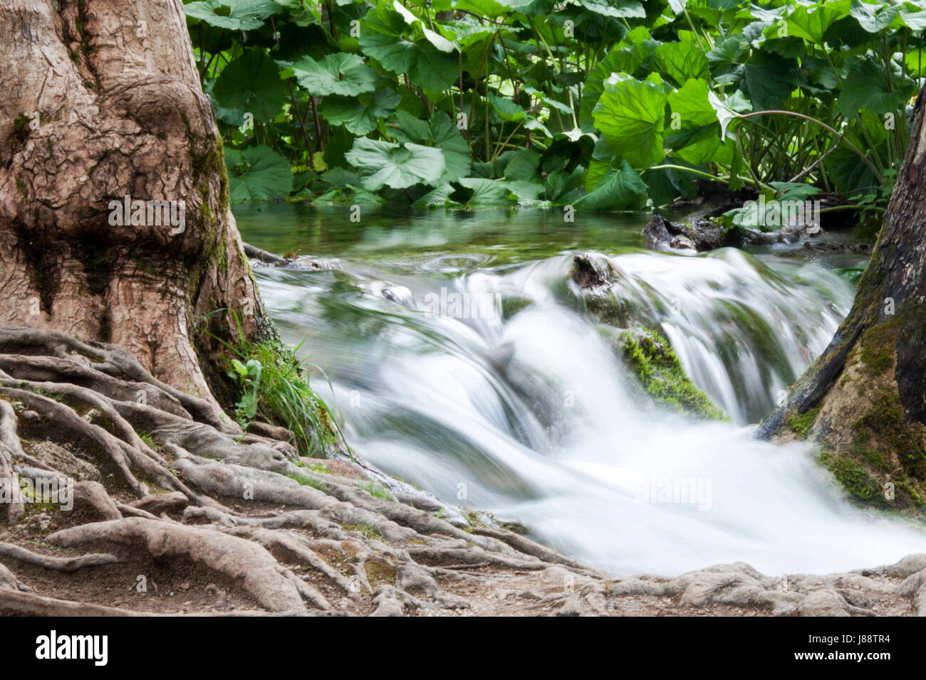 environment, enviroment, green, waterfall, croatia, clean, water ...