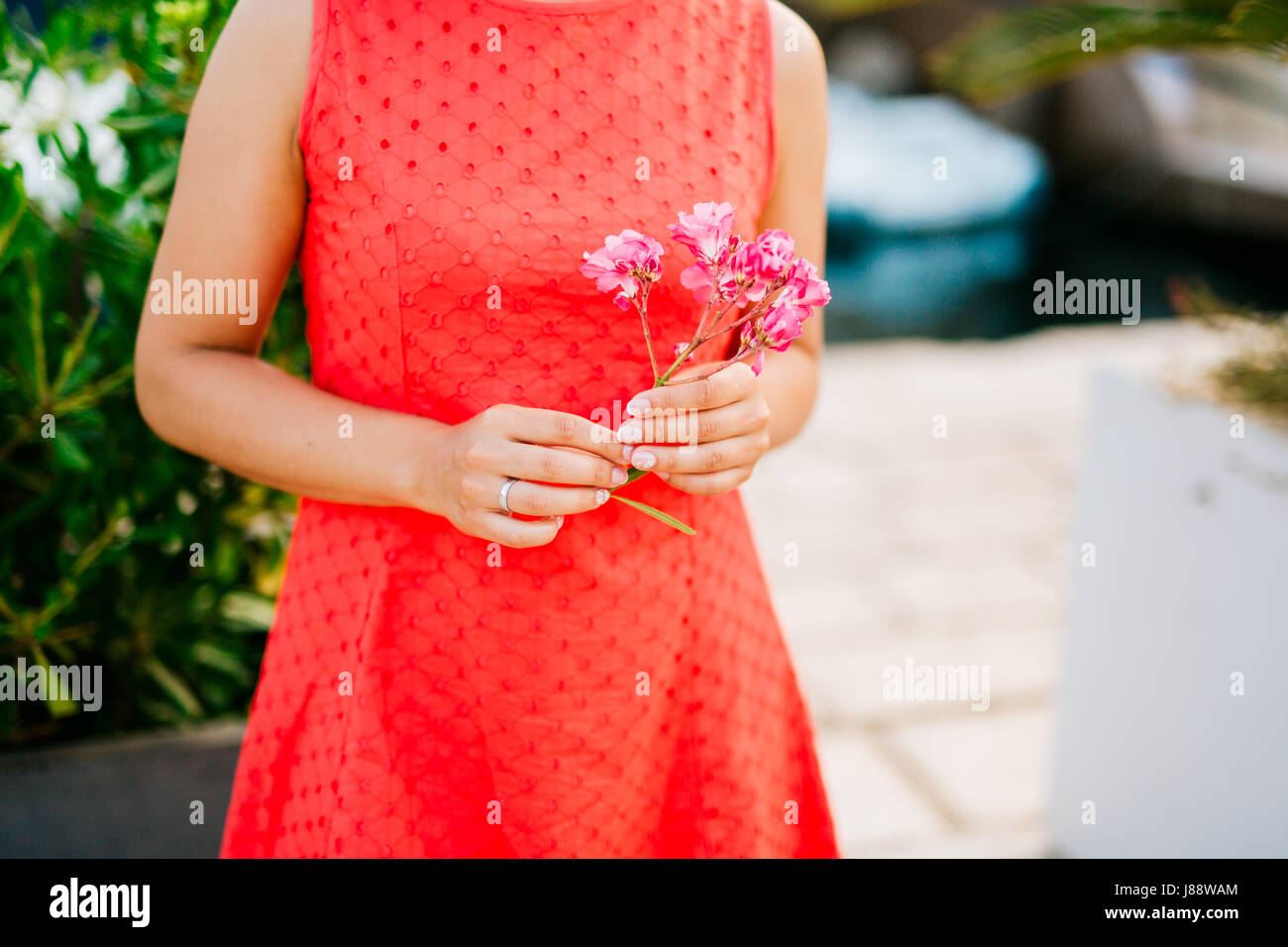 The branch of oleander in the hands of a girl in a red dress Stock ...