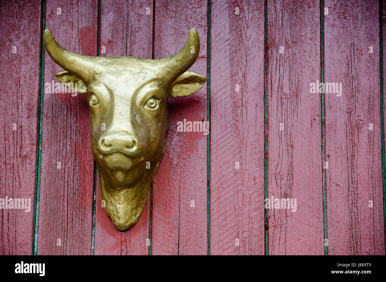 closeup, animal, agriculture, farming, cattle, calf, sign, butcher ...