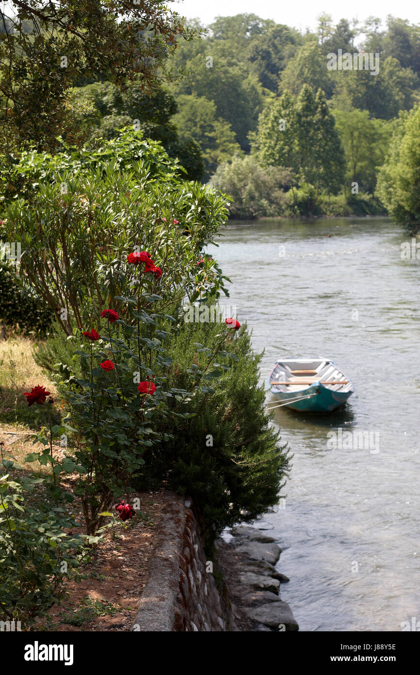 flower, flowers, plant, boat, river, water, rowing boat, sailing boat ...