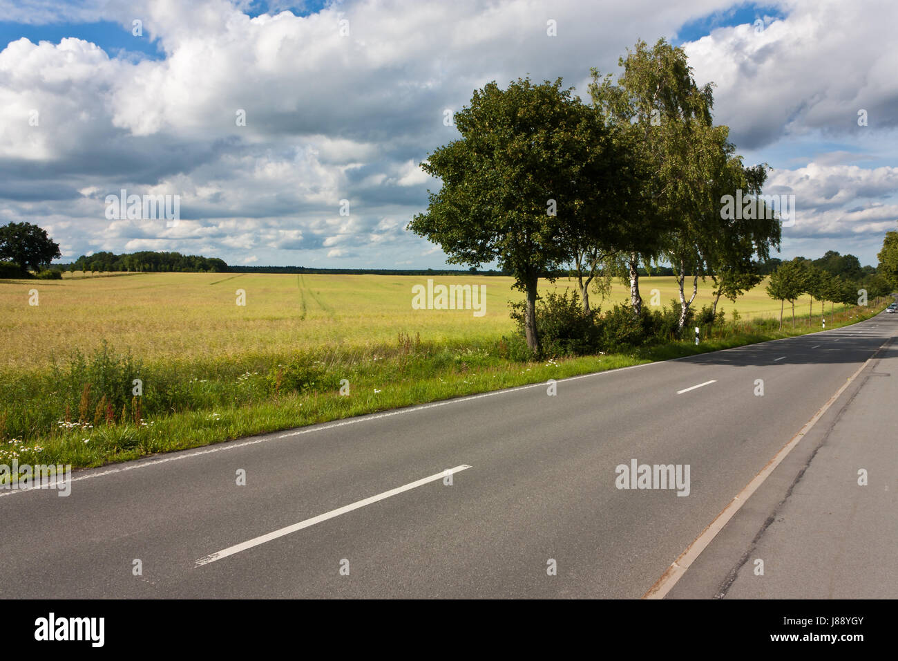 roads on field Stock Photo - Alamy
