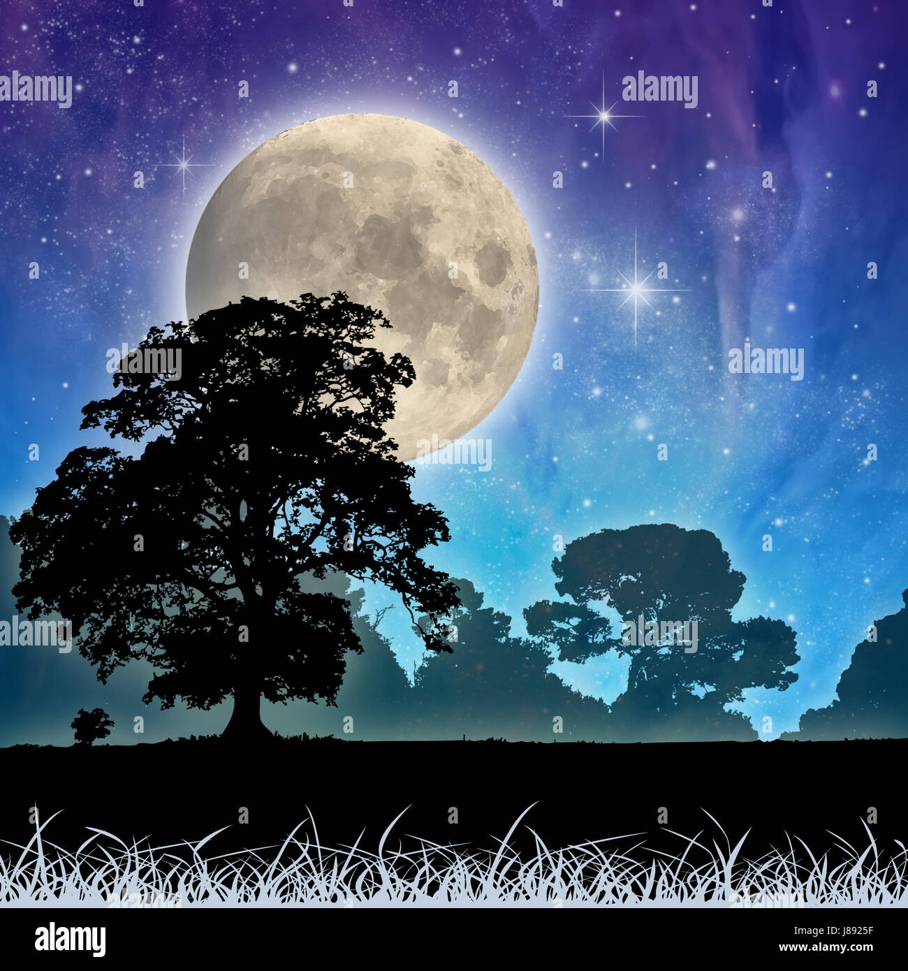 tree, trees, moon, landscape, scenery, countryside, nature, blue, tree ...