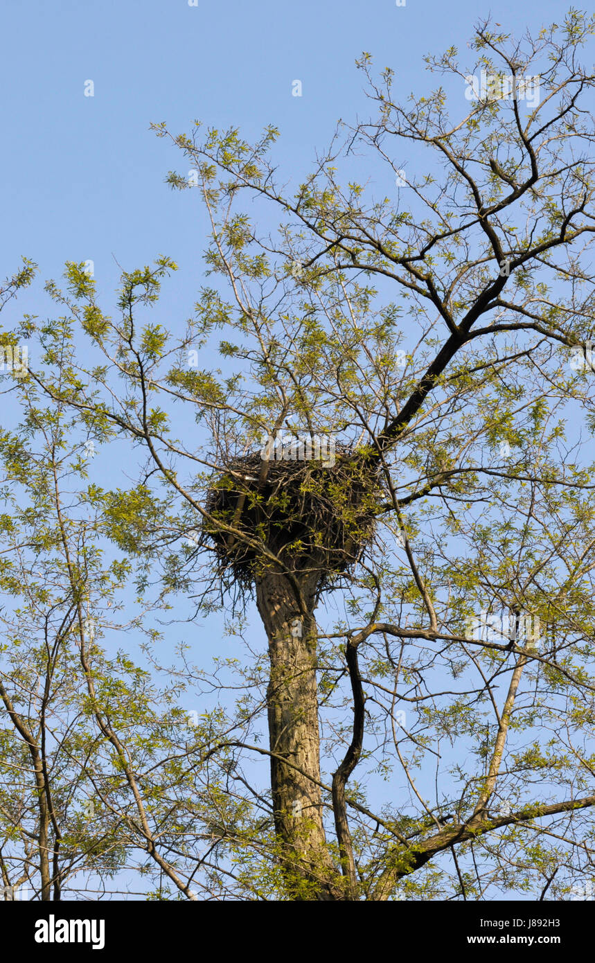 big, large, enormous, extreme, powerful, imposing, immense, relevant ...