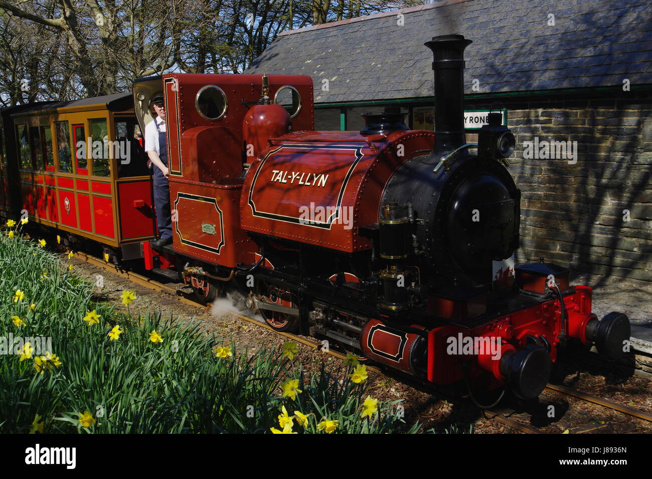 Steam train on welsh hi-res stock photography and images - Alamy