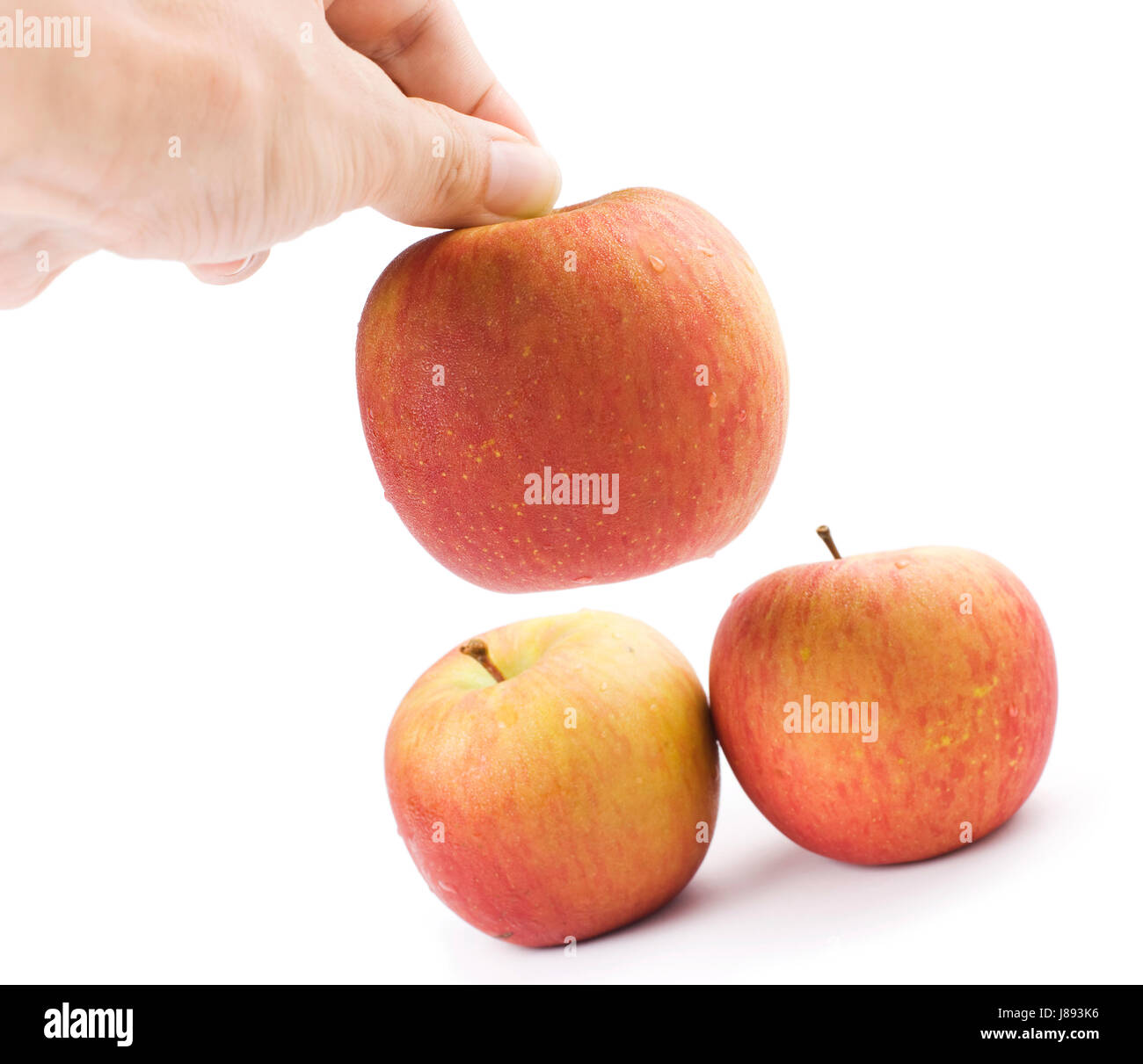 pick, humans, human beings, people, folk, persons, human, human being ...