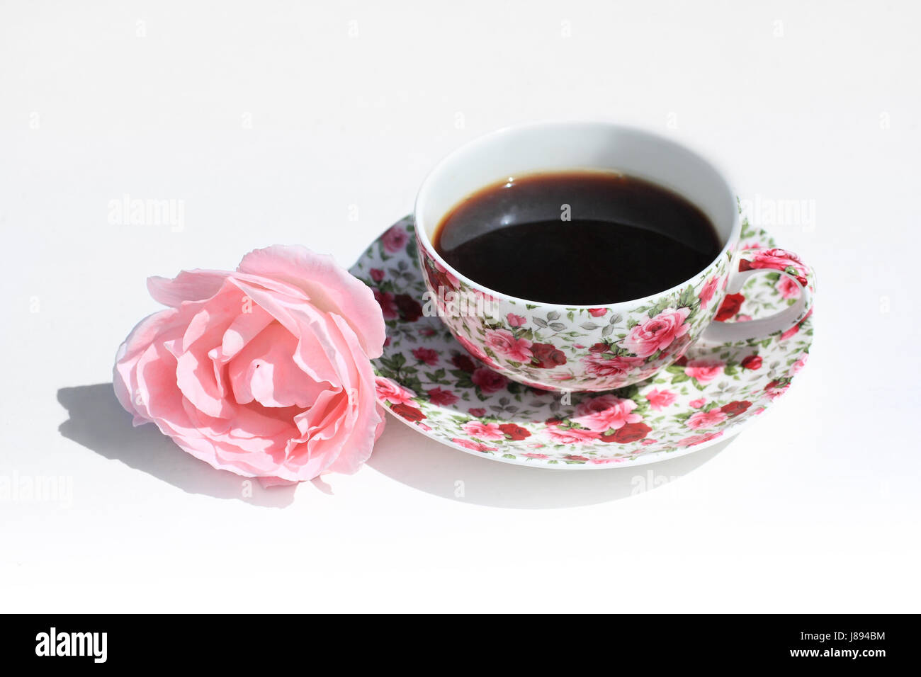 cup, flower, plant, rose, gift, love, in love, fell in love, backdrop ...