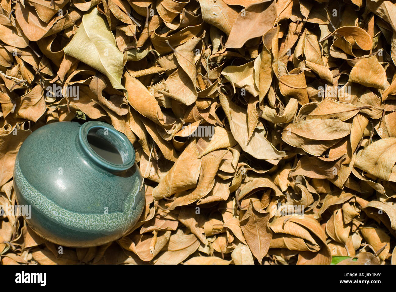 blue, leaf, detail, art, model, design, project, concept, plan, draft ...