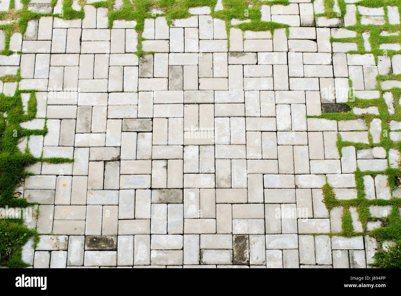 park, garden, stone, brown, brownish, brunette, rough, rock, pavement ...