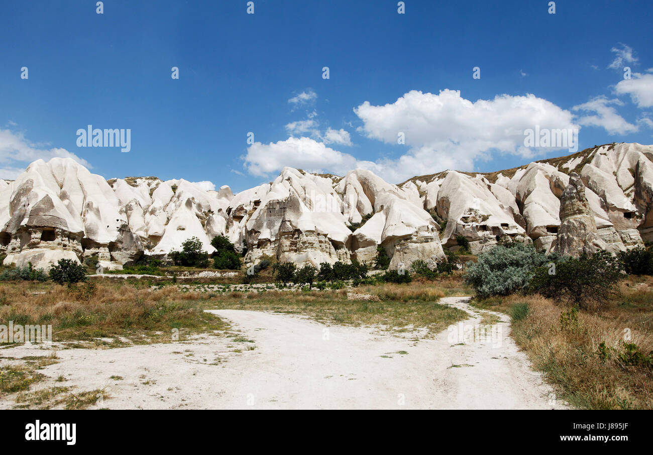 Turkey tracks dirt hi-res stock photography and images - Alamy