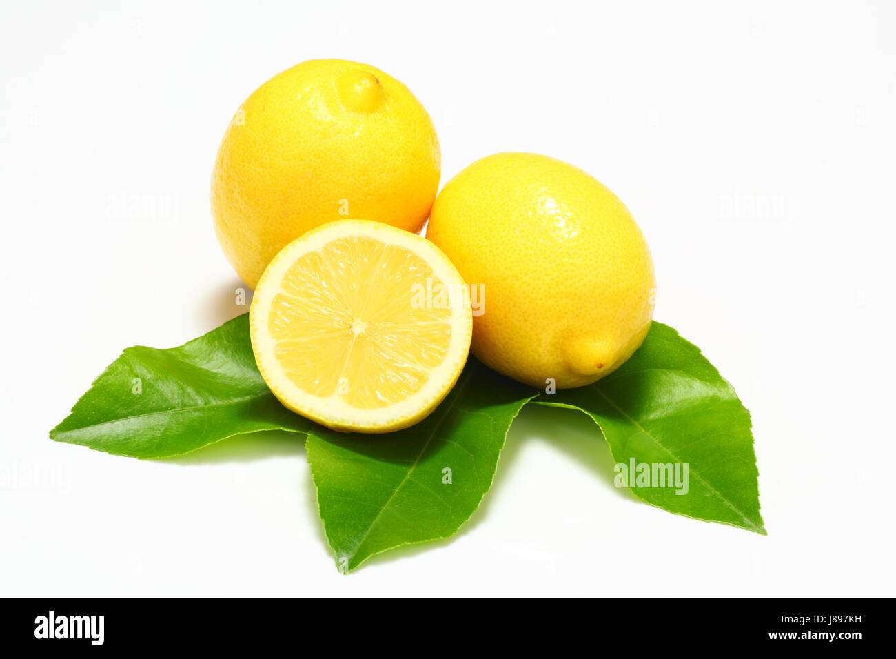 leaf, health, harvest, juicy, lemon, citron, healthy, food, aliment ...
