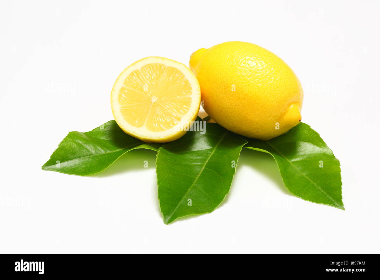 leaf, health, harvest, juicy, lemon, citron, healthy, food, aliment ...