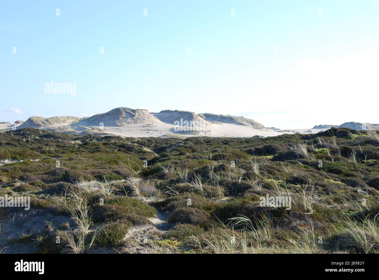 Sylter hi-res stock photography and images - Alamy