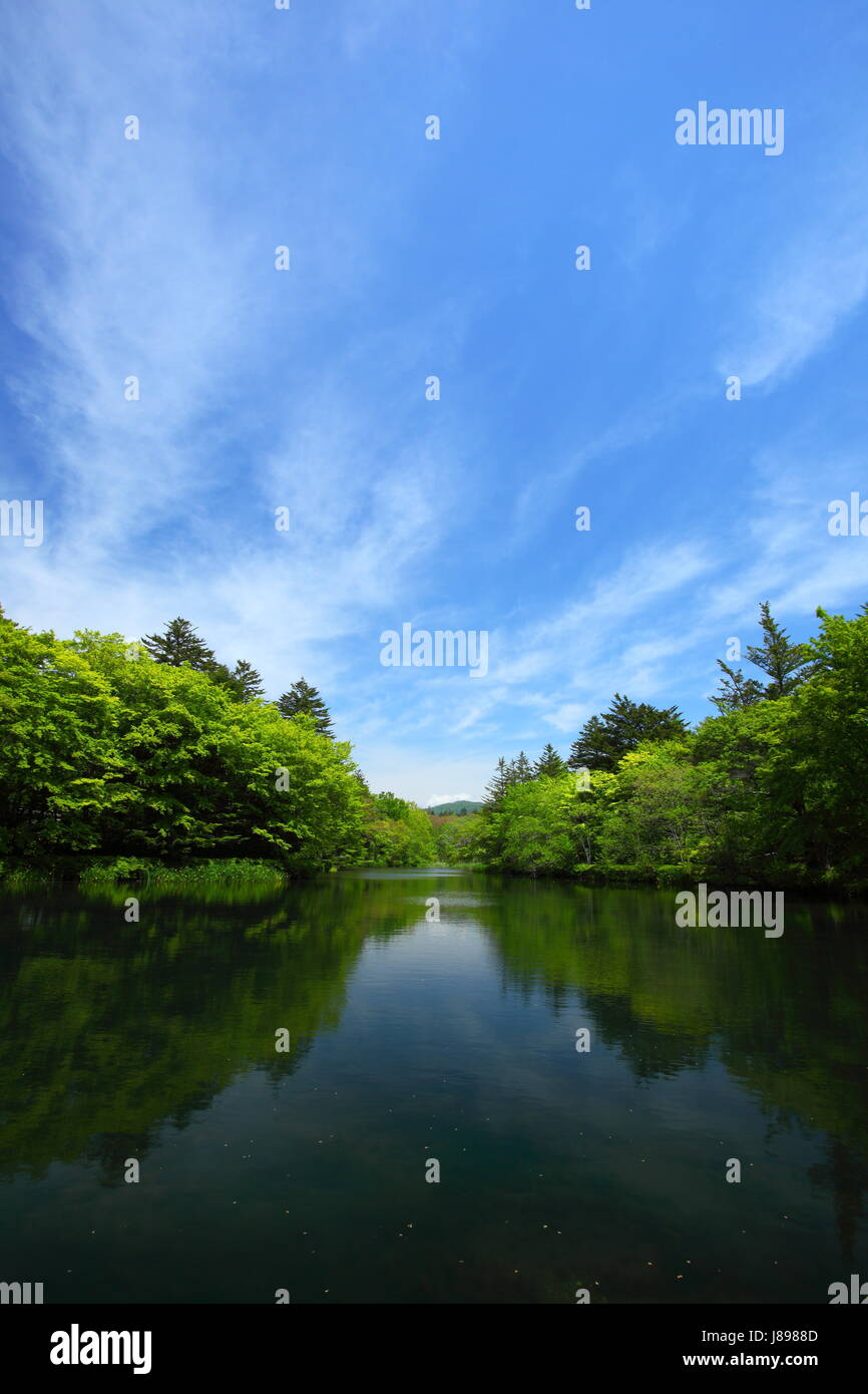 asia, summer, summerly, sightseeing, fresh water, pond, water, japan ...