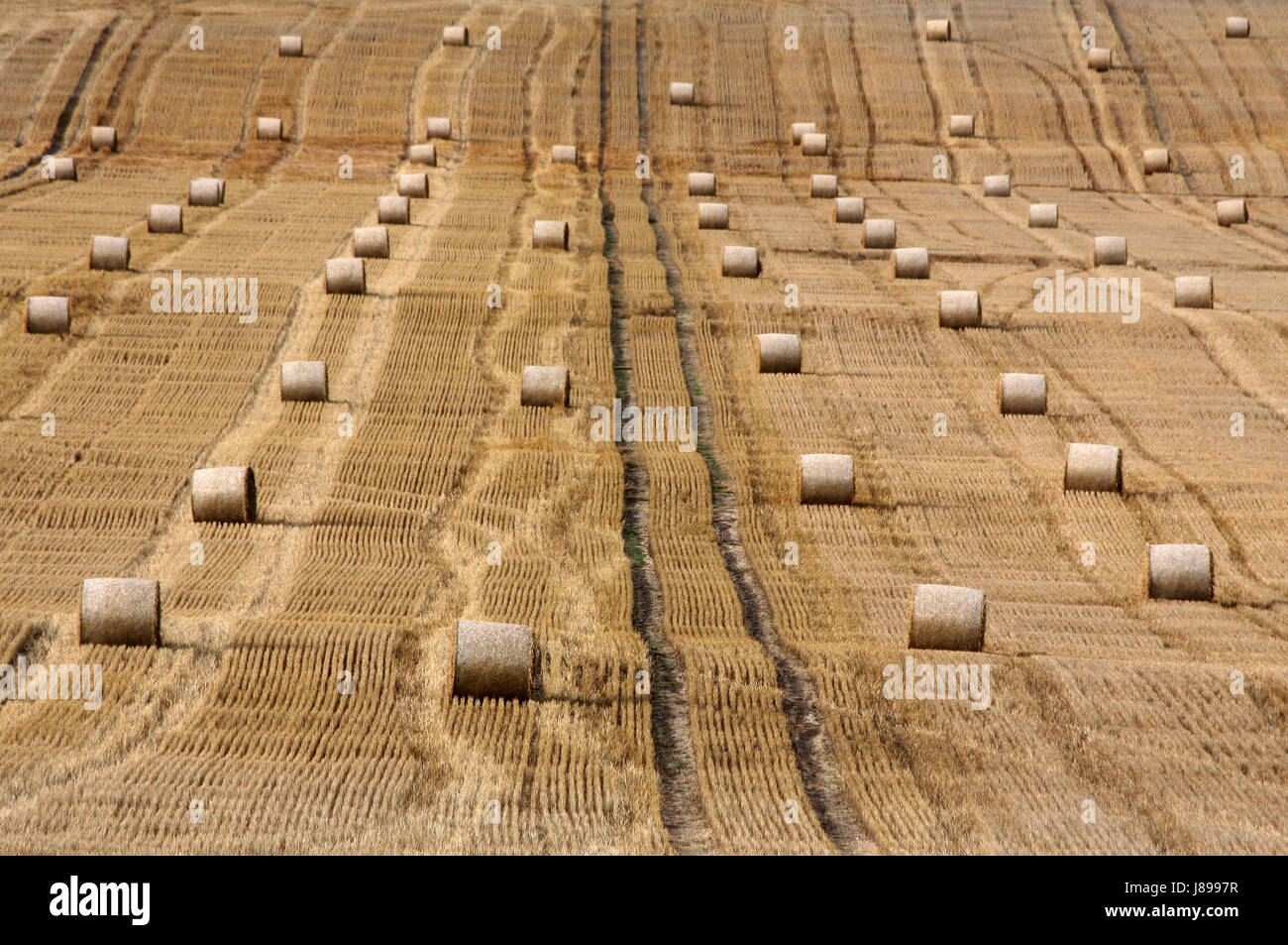 field, roll, straw ball, stubble field, grain field, straw, harvest ...