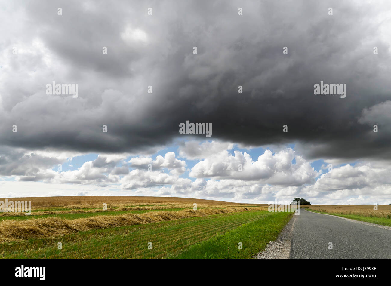 blue, agriculture, farming, field, farm, clouds, firmament, sky, lawn ...