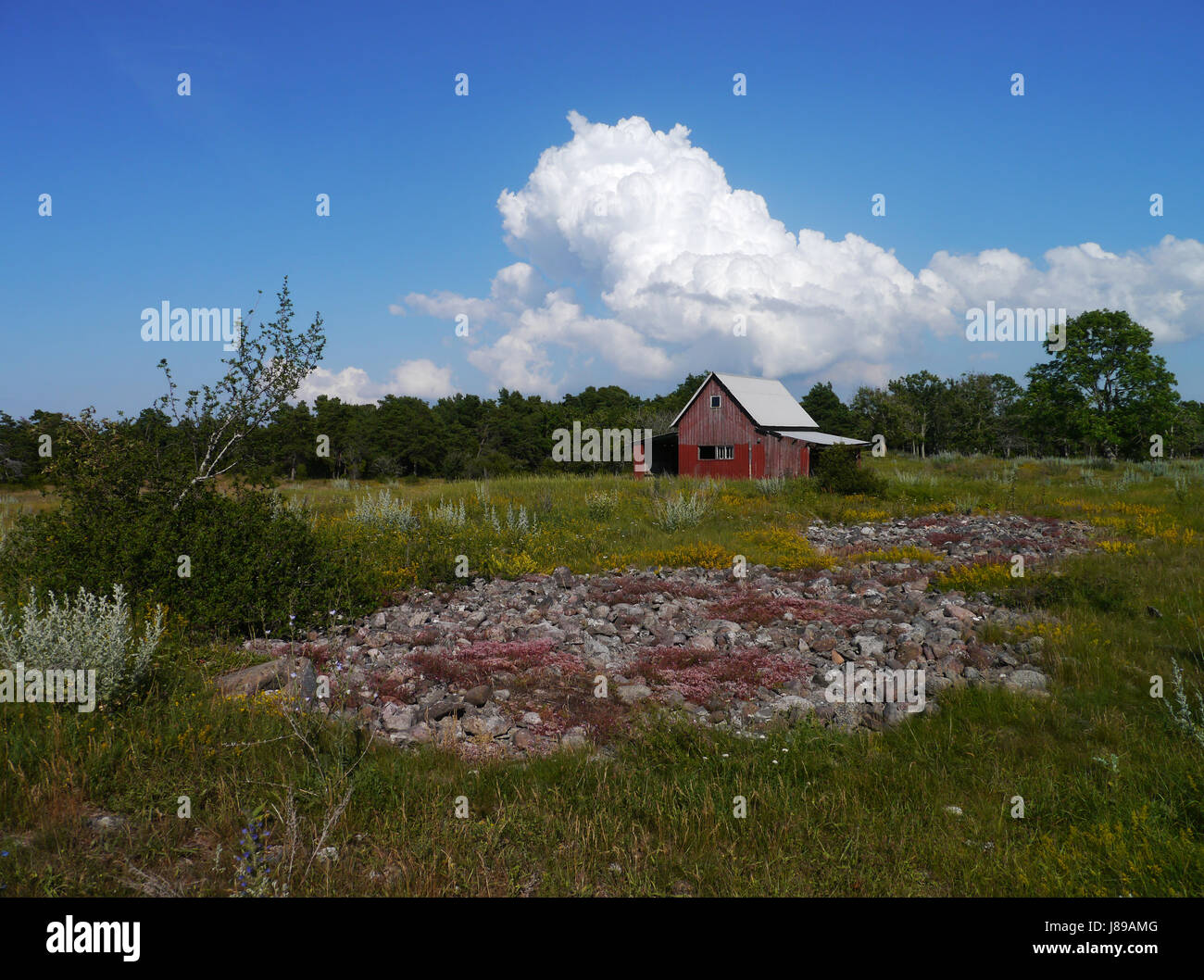 landscape on gotland Stock Photo - Alamy