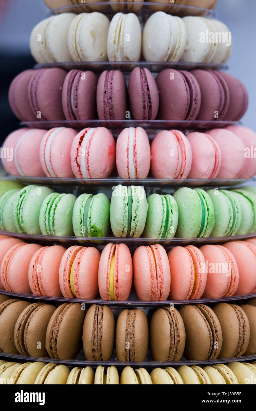 Macarons Colorful