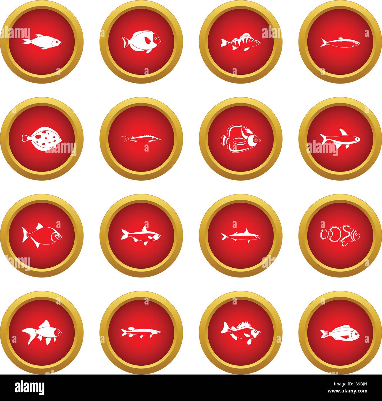 Fish Circle Ocean Stock Photos & Fish Circle Ocean Stock Images - Alamy