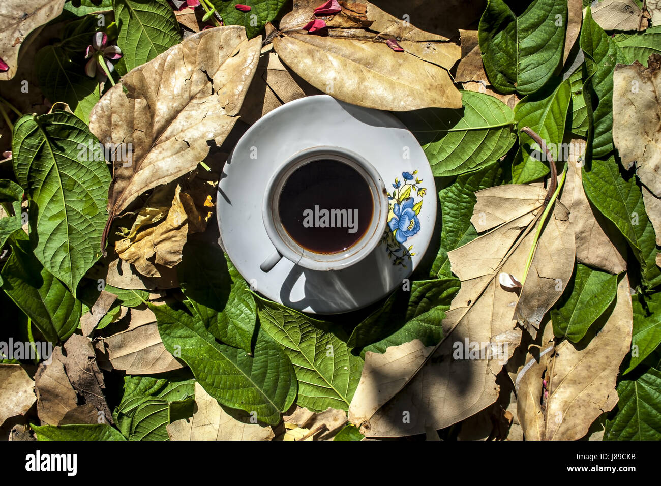 White mug containing hot hi-res stock photography and images - Alamy