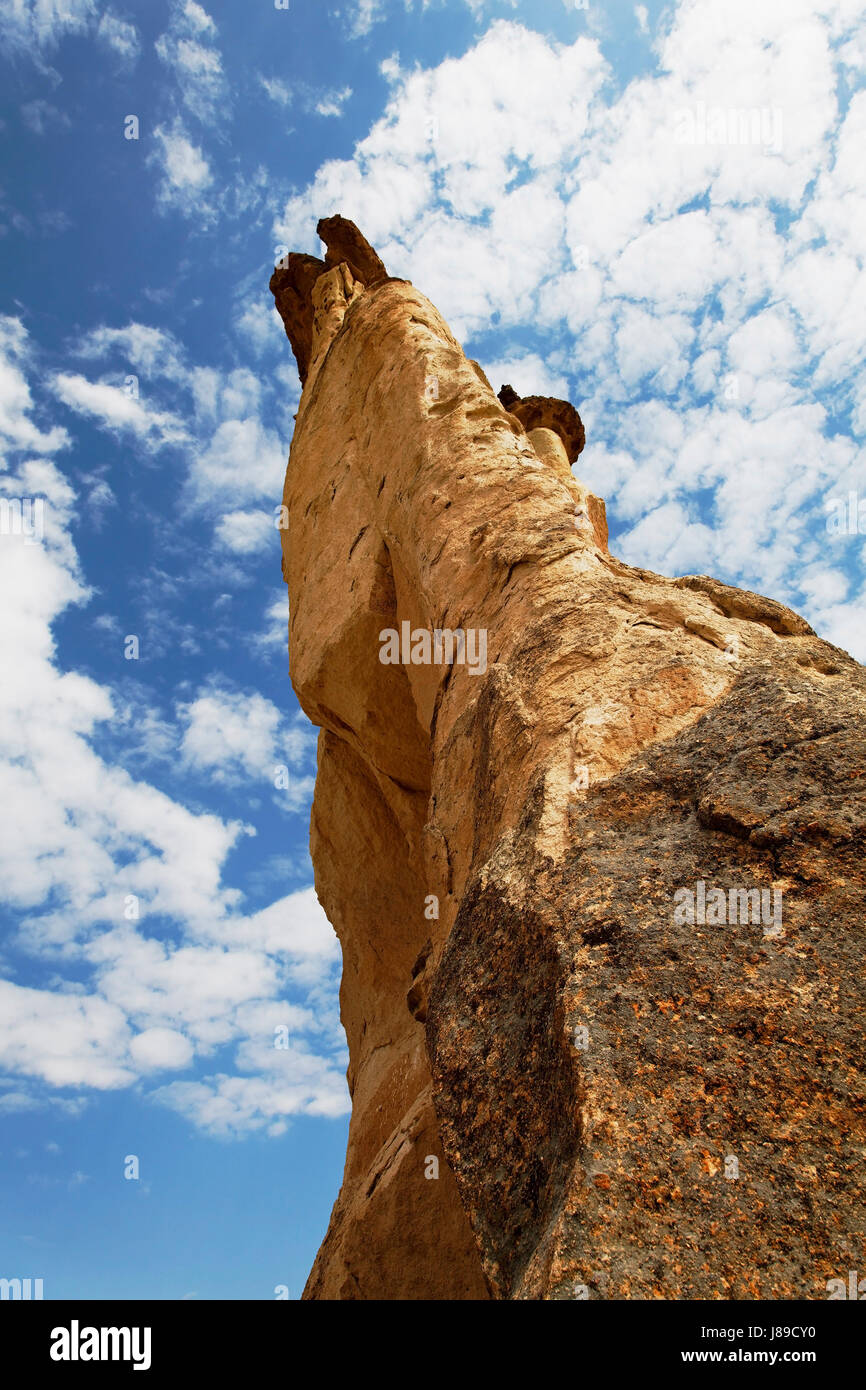 model, design, project, concept, plan, draft, portrait, vertical ...