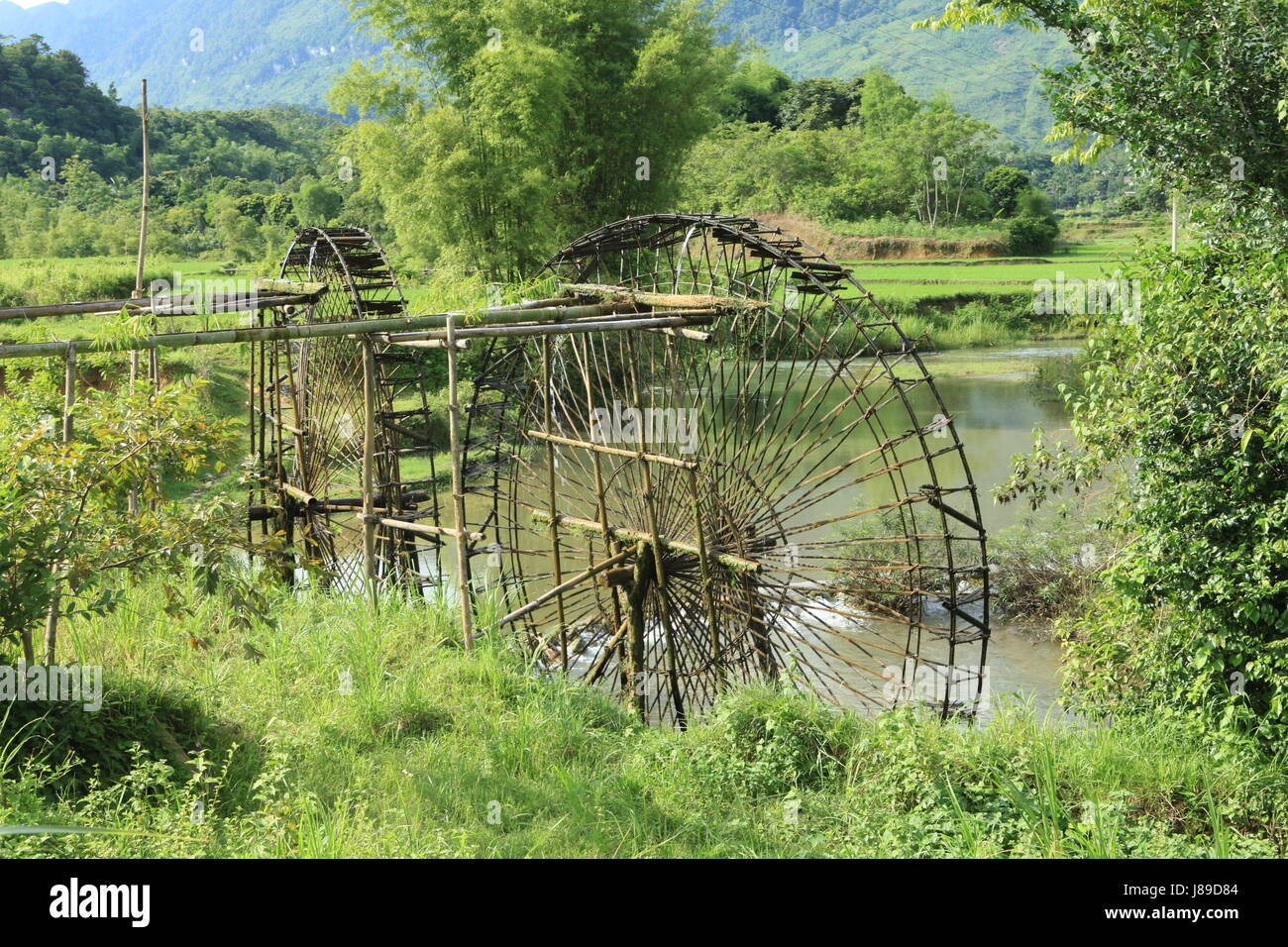 Water wheel rice field rice hi-res stock photography and images - Alamy