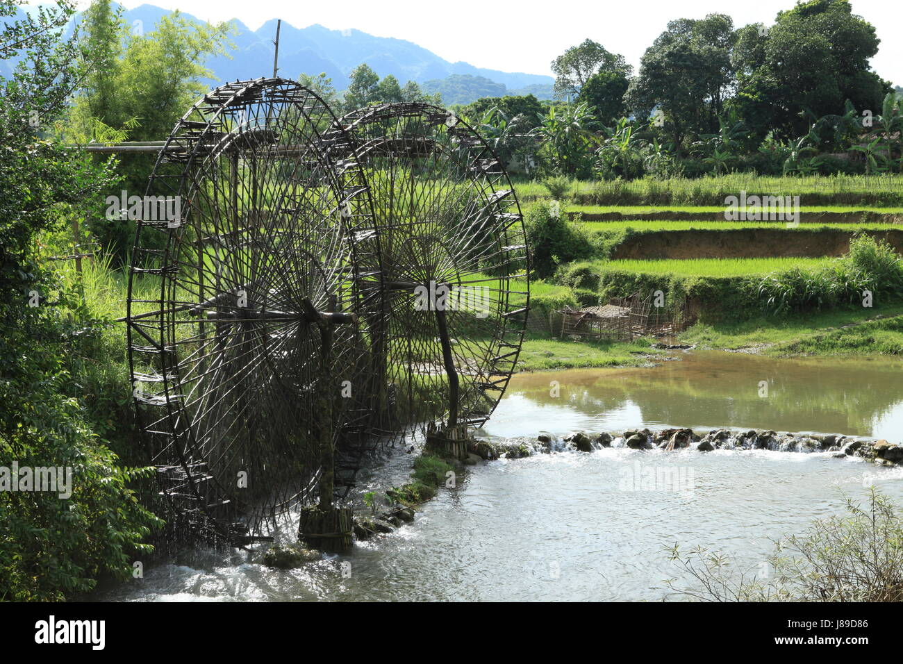 Water wheel rice field rice hi-res stock photography and images - Alamy