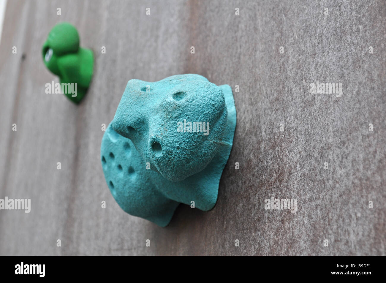 Frog climbing wall hi-res stock photography and images - Alamy