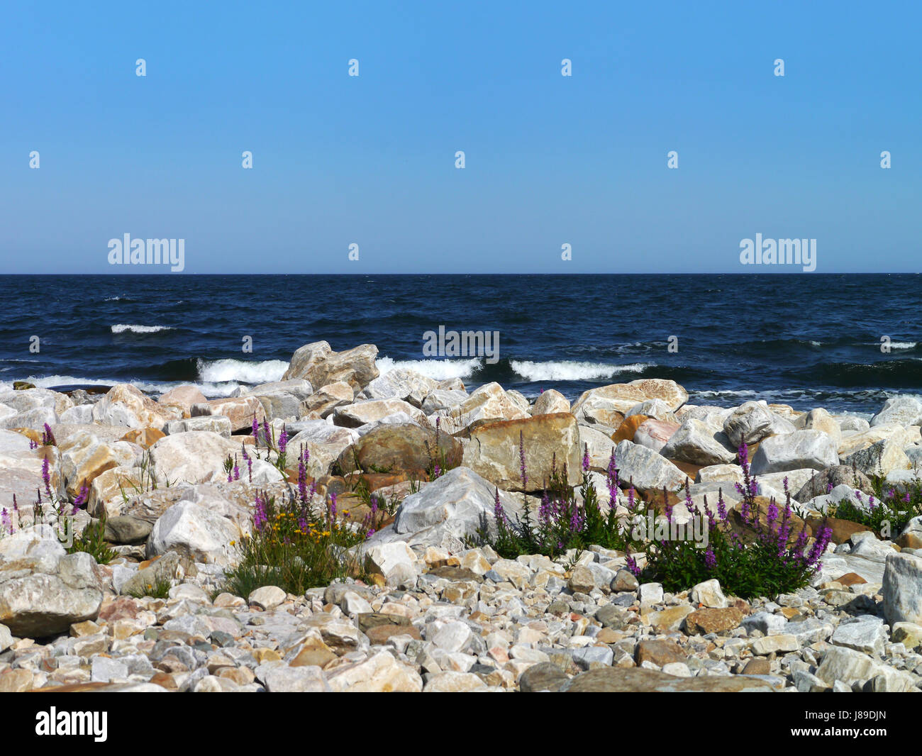 baltic coast near simrishamn Stock Photo - Alamy
